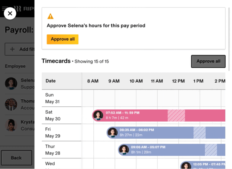Rippling time tracking: Pros, cons, and 5 great alternatives - Time ...